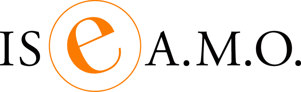 AMO : ma définition et ma vision du métier | ISE-AMO